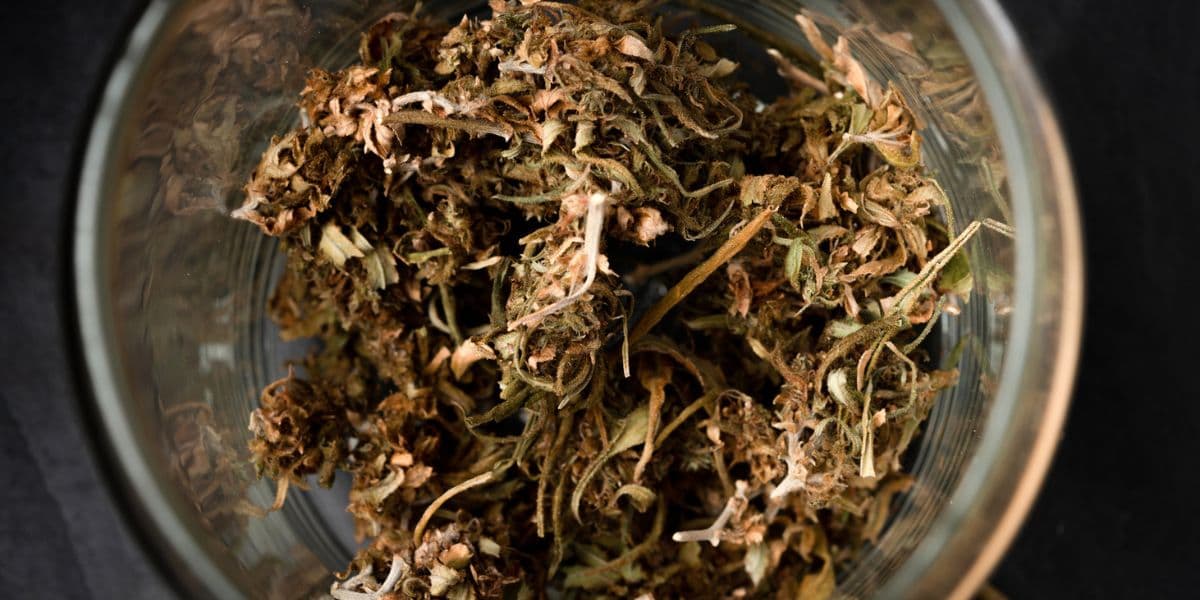 What Is Synthetic Marijuana (K2/Spice)? | White Oak Recovery Center
